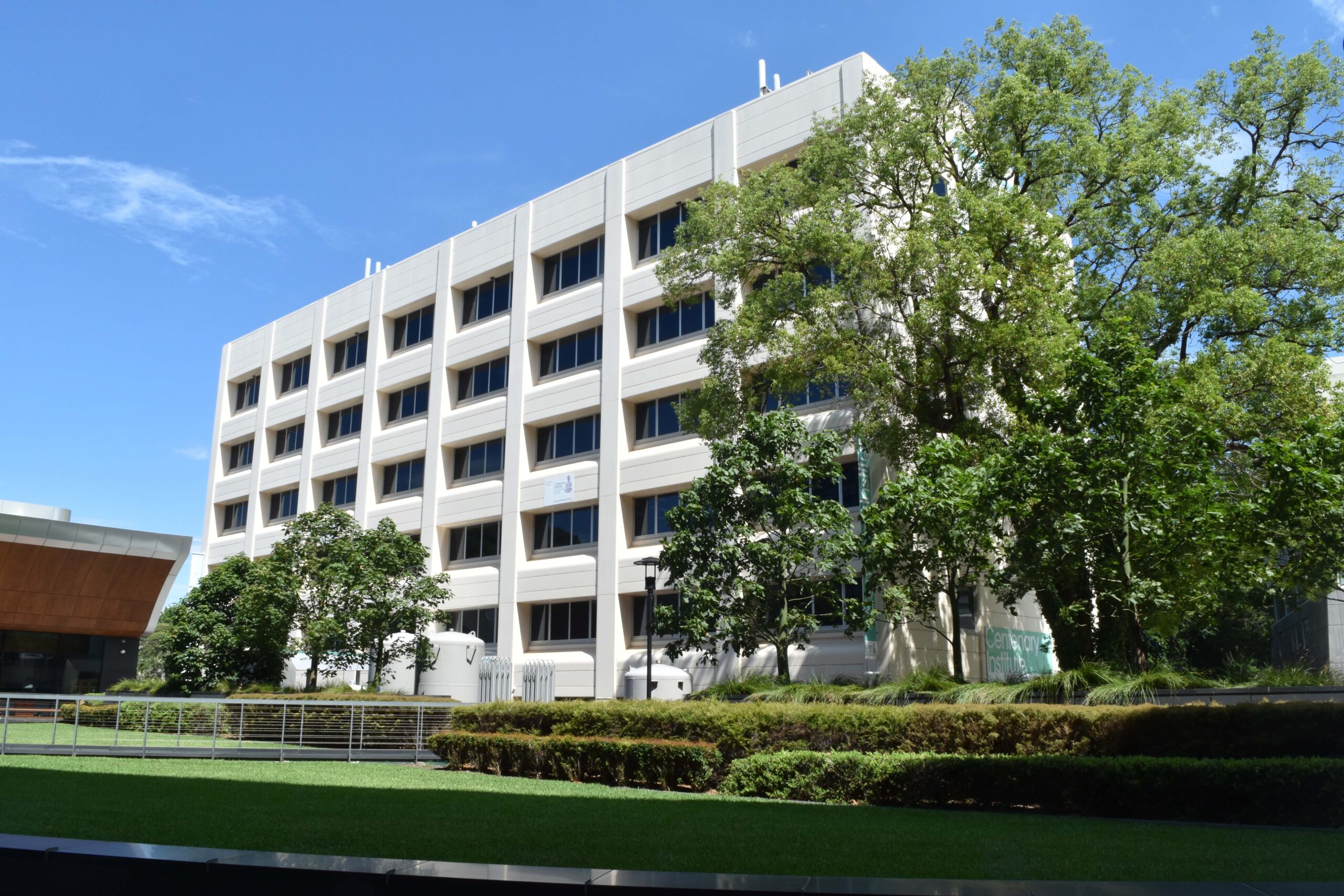 Centenary researchers ranked among the world’s best | Centenary Institute