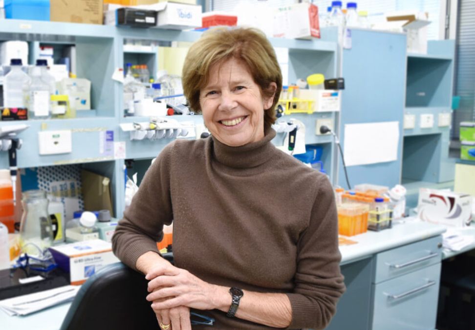 Grant to boost research into age-related blood vessel health ...